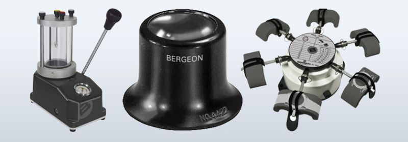 Bergeon at Selva Online